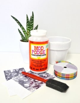 DIY Flower Pot Perfect for Mother's Day - Mod Podge Rocks