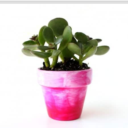 Mod Podge Gloss: Your Complete Guide - Mod Podge Rocks