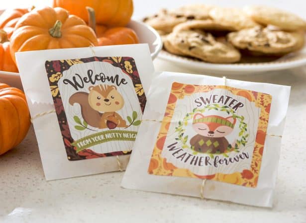 Free Fall Printables You'll Love (Over 25 Ideas)! - Mod Podge Rocks