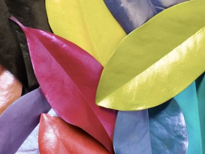 Color Shift Paint: The Ultimate Guide (Plus Projects!) - Mod Podge Rocks