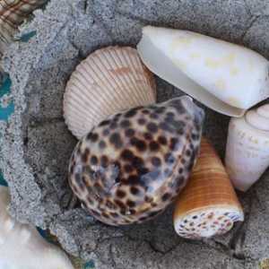 All About Mod Podge Ultra: Tips & Tricks! - Mod Podge Rocks