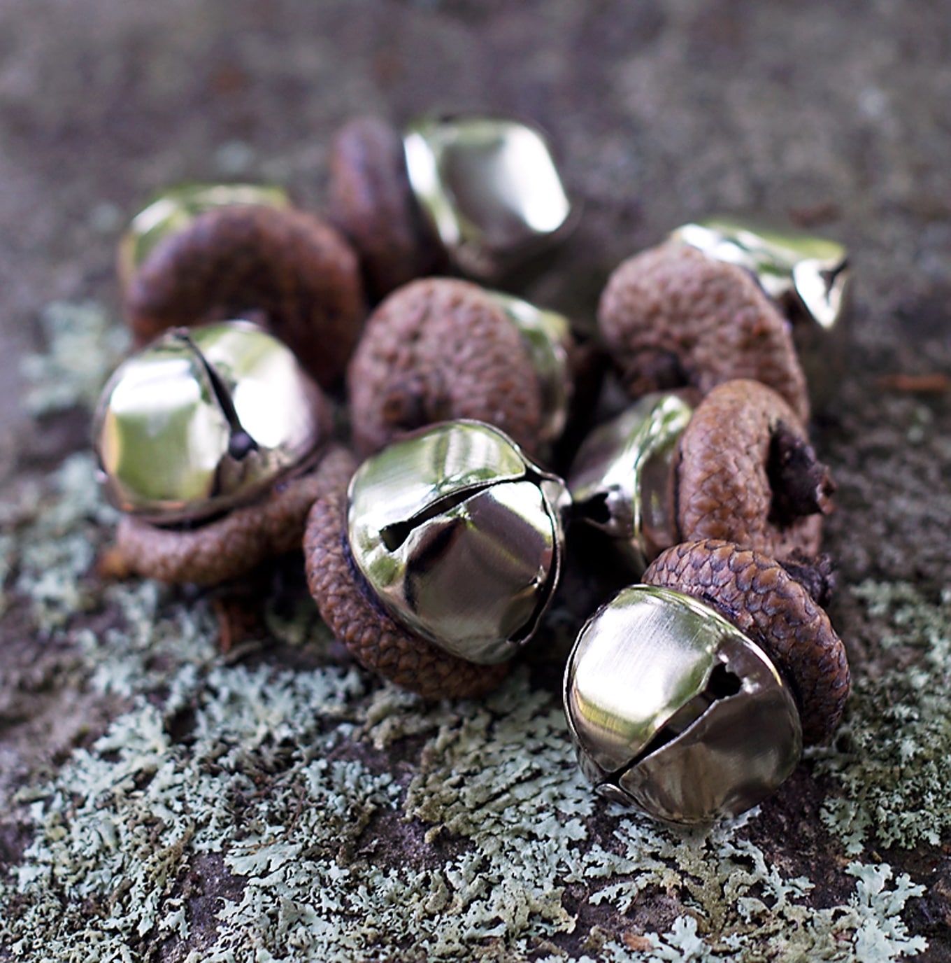 Acorn Crafts for the Best Fall Ever - Mod Podge Rocks