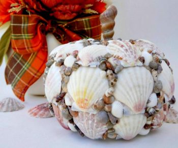 Seashell Crafts: 30+ Beachy Decor Ideas - Mod Podge Rocks