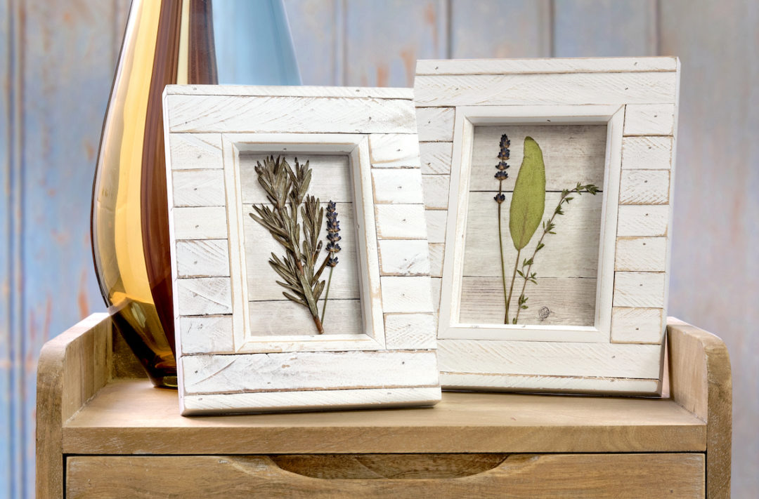 DIY Pressed Flowers with Mod Podge - Mod Podge Rocks