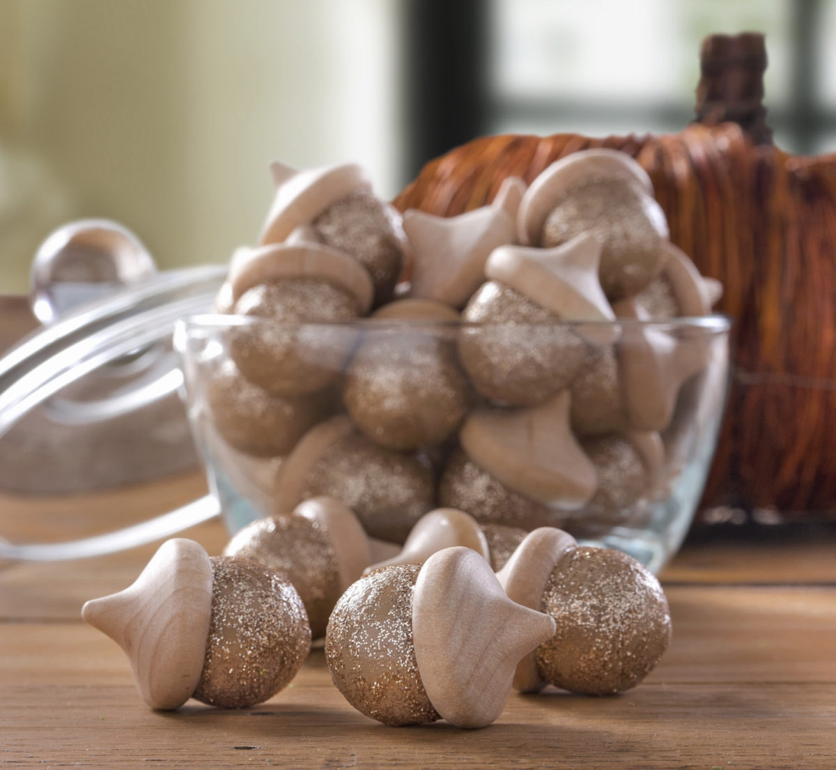 Acorn Crafts for the Best Fall Ever - Mod Podge Rocks