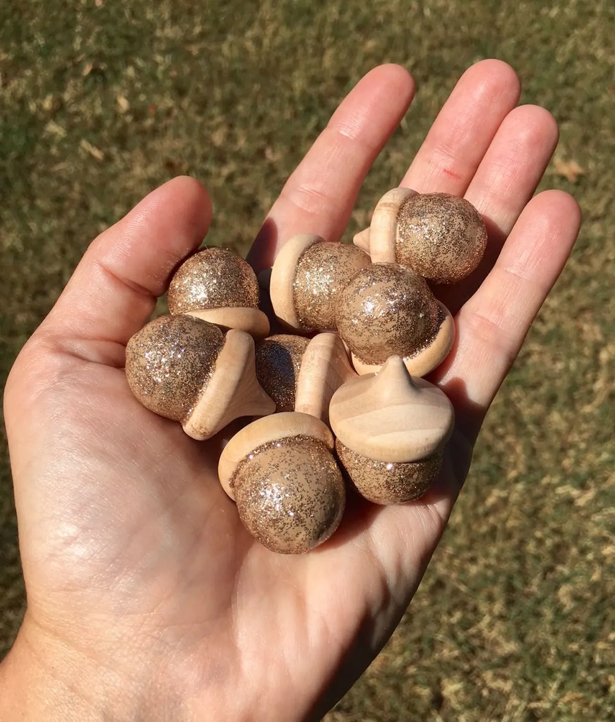 Glitter Acorn Decor to Make Your Fall Sparkle - Mod Podge Rocks