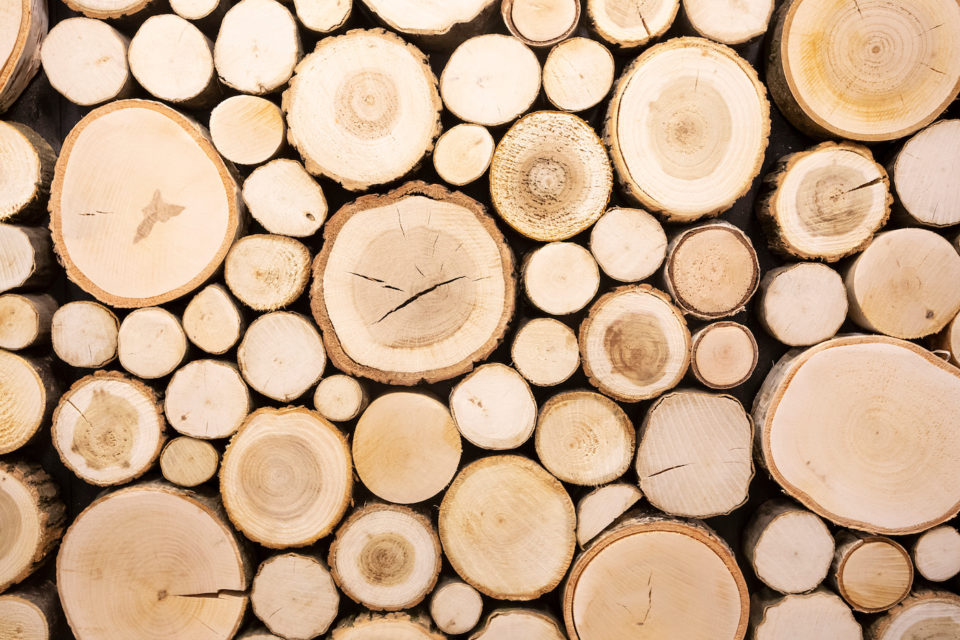 Unique Wood Slice Crafts for Decor and Gifts - Mod Podge Rocks